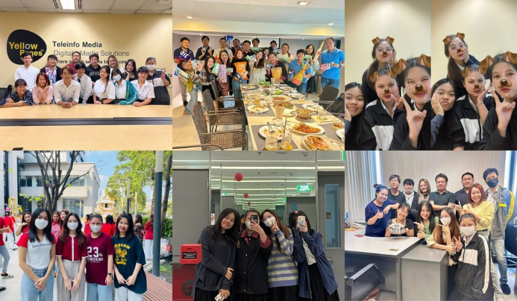 รีวิวฝึกงาน WEB DATABASE จาก WU สู่ TMC – บริษัท เทเลอินโฟ มีเดีย จำกัด (มหาชน)